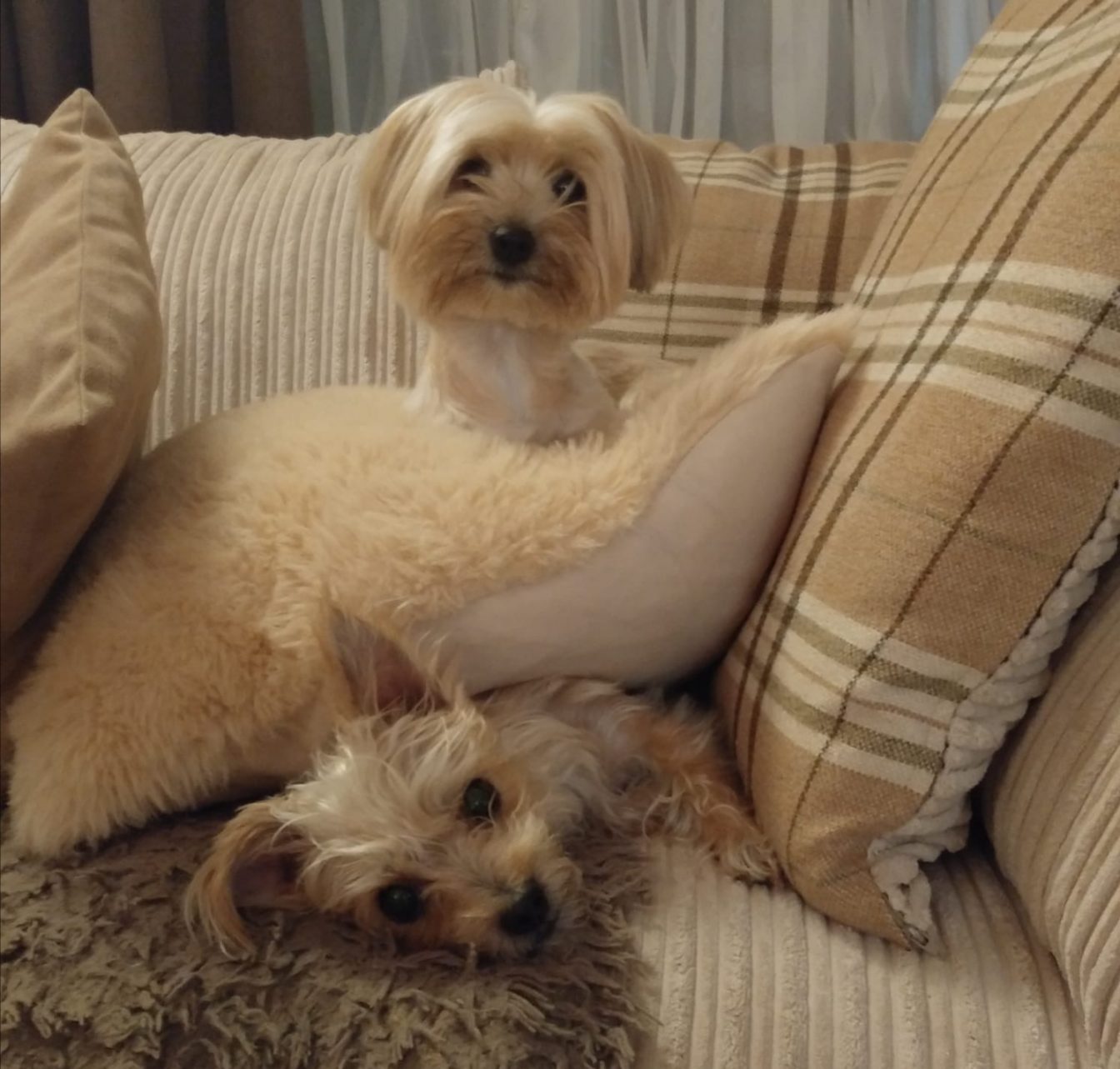 National Apprenticeship Week - Meet Chloe Talbot-Swain... - Old Mill ...